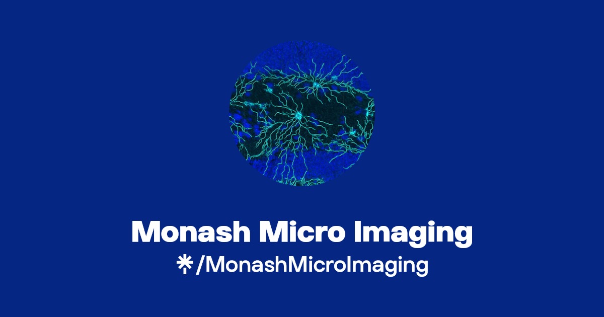 Monash Micro Imaging | Linktree