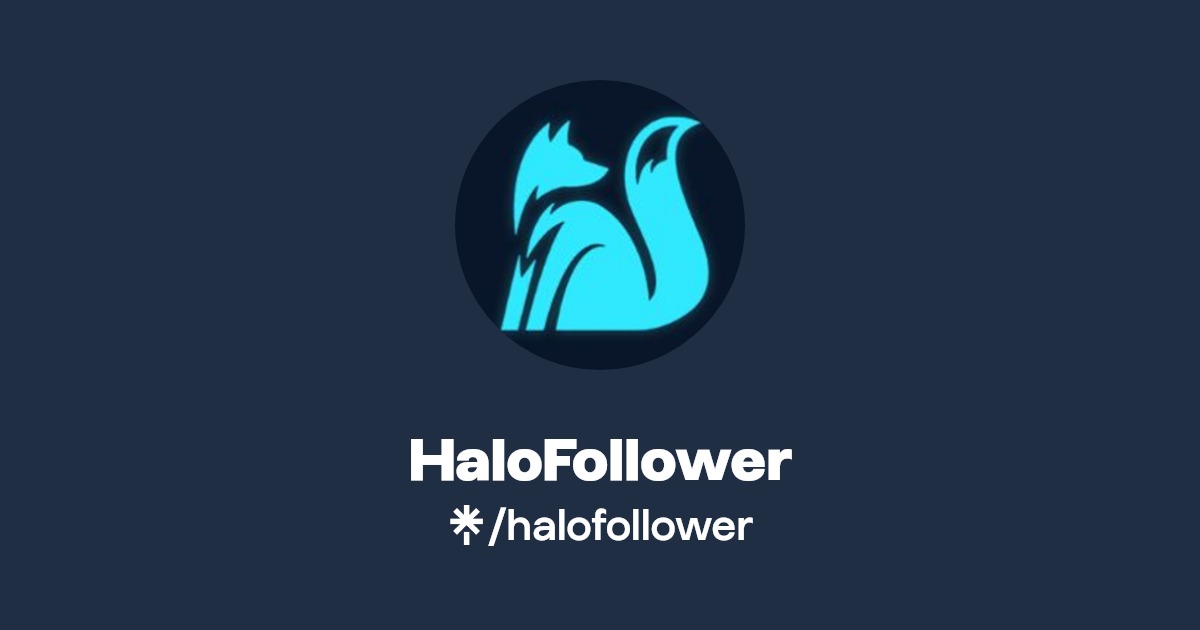 HaloFollower Official: TikTok, Instagram, X, Facebook | Linktree