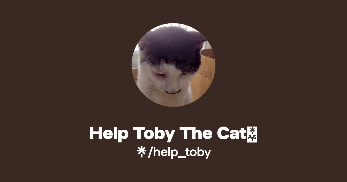 Help Toby The Cat🥹 | Linktree